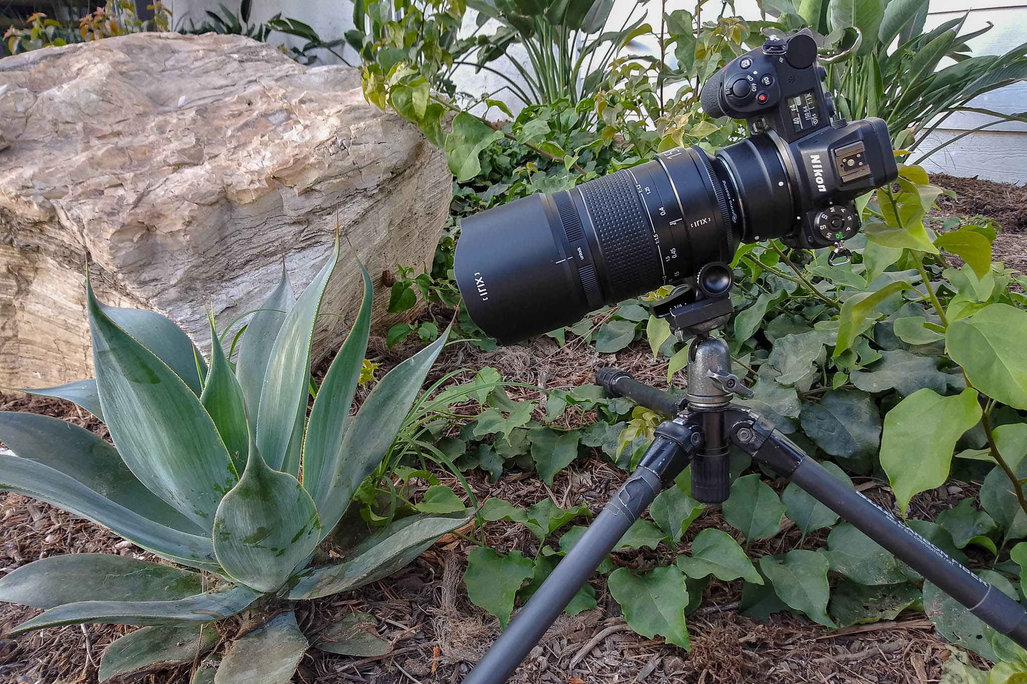 Types of camera lenses explained: prime, zoom, wide, telephoto...