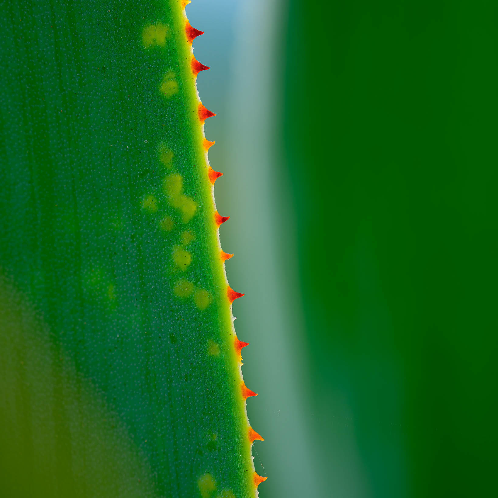 Types of camera lenses explained: prime, zoom, wide, telephoto...