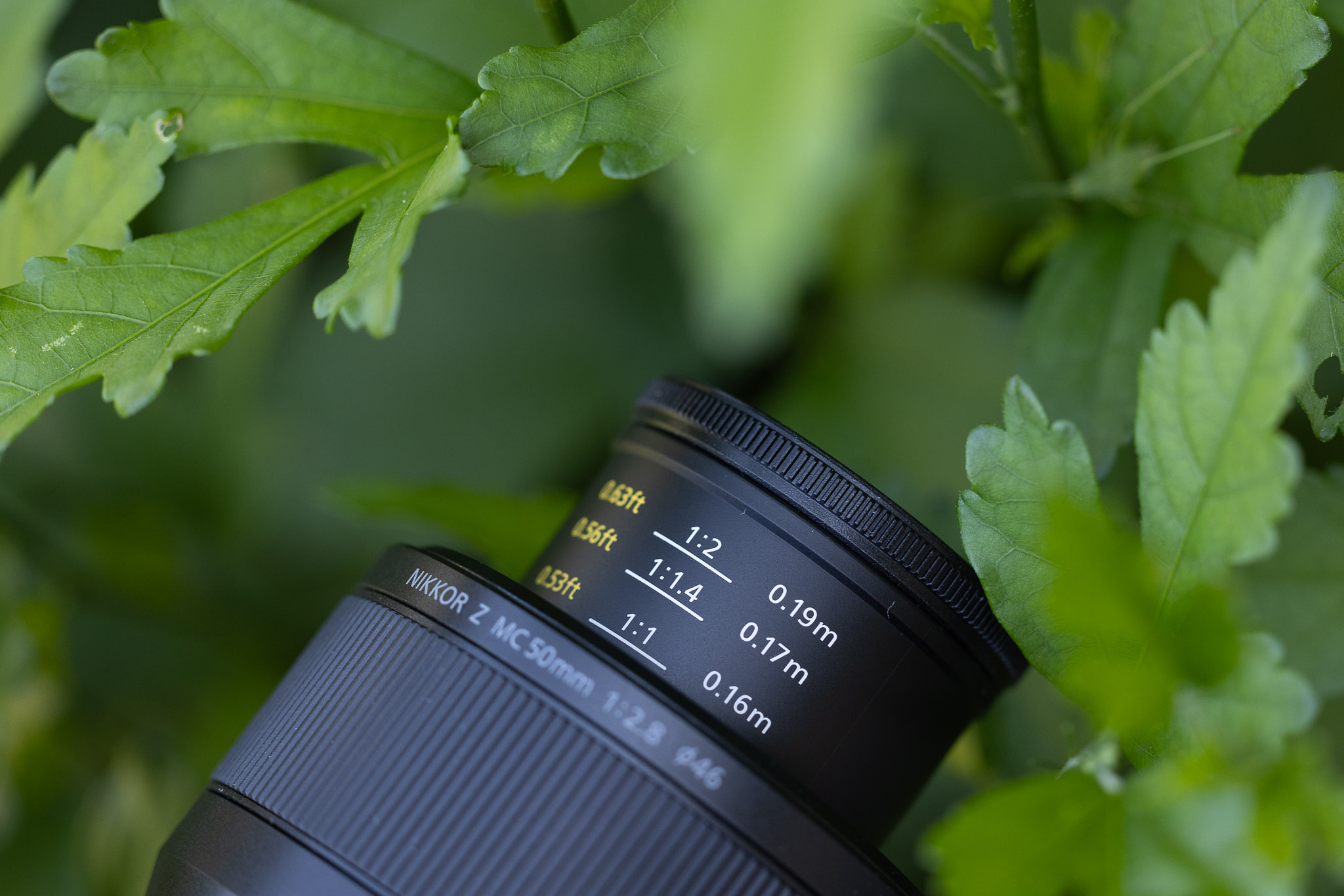 Types of camera lenses explained: prime, zoom, wide, telephoto...