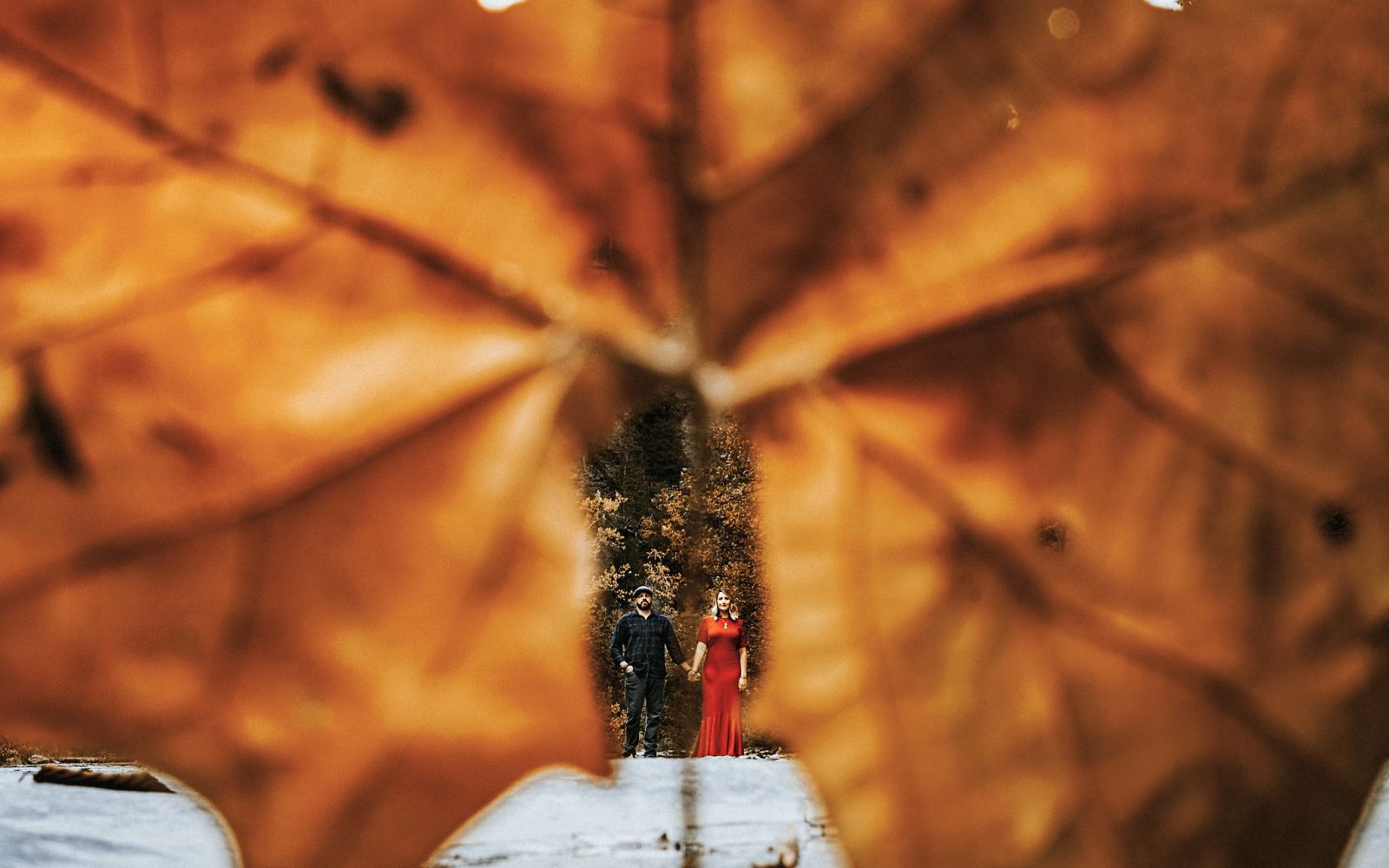 Fall Photoshoot Ideas and Inspiration from Award Winning Photographers
