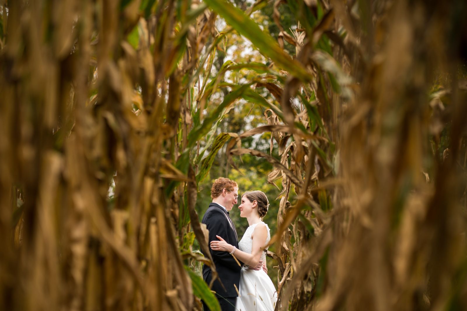 Fall Photoshoot Ideas and Inspiration from Award Winning Photographers