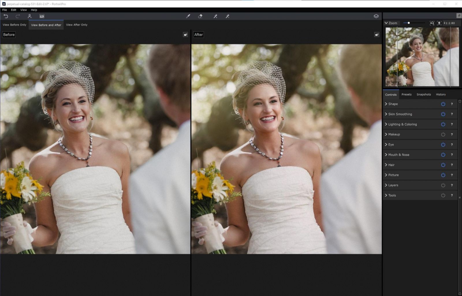 PortraitPro 23 Review | New Tools, More Speed