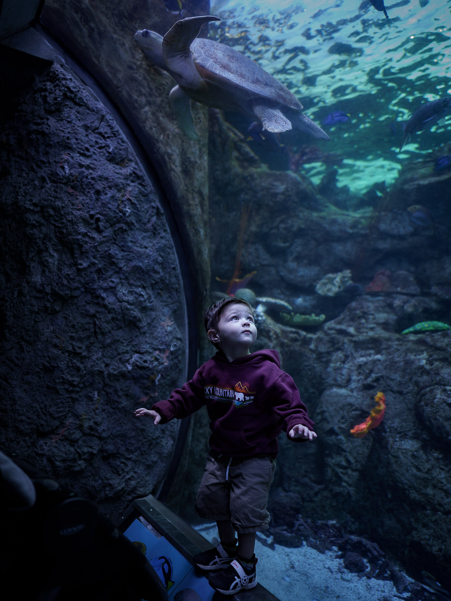 Glossy VS Matte Photos | Which Print Paper is Better?