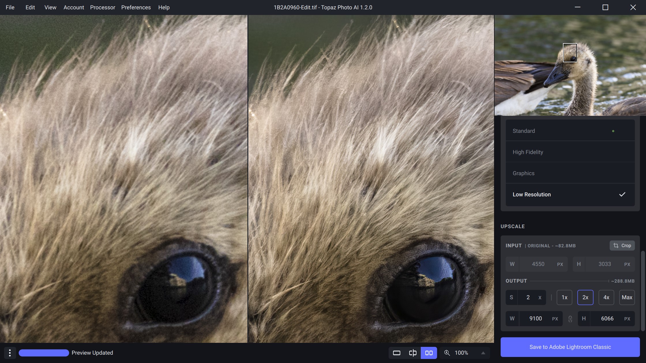 Topaz Photo AI Review | DeNoise, Sharpen, Gigapixel. all in one!