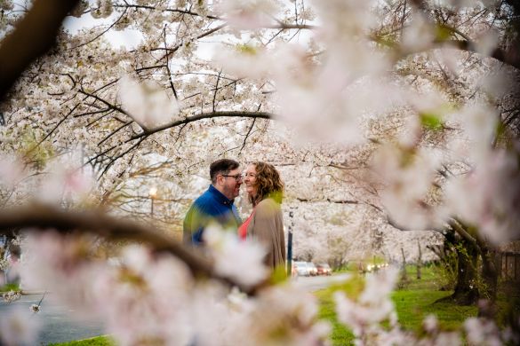 Cherry Blossom Photoshoot Tips | Capturing the Beauty of Spring