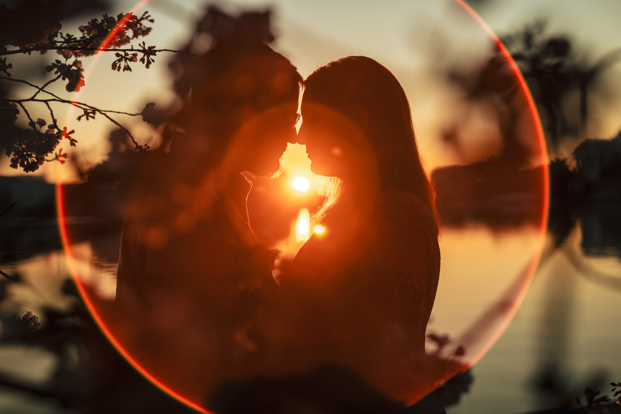 Cherry Blossom Photoshoot Tips | Capturing the Beauty of Spring