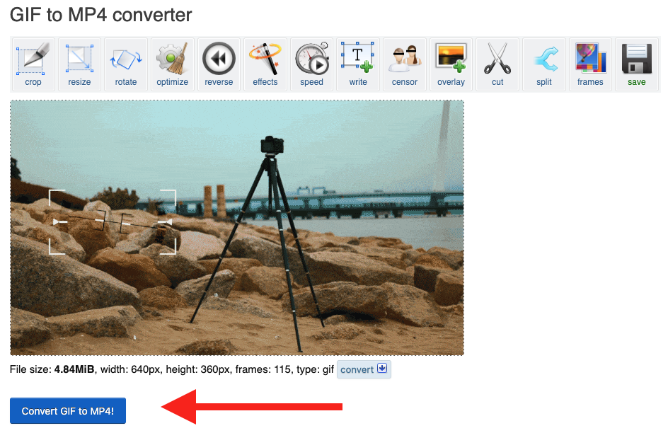 How to post a GIF on Instagram | a Complete Guide