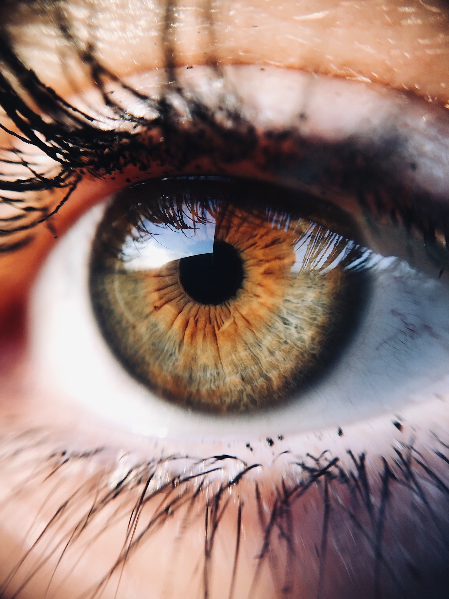 Eye Photography: Essential Tips for Capturing Stunning Eye Shots