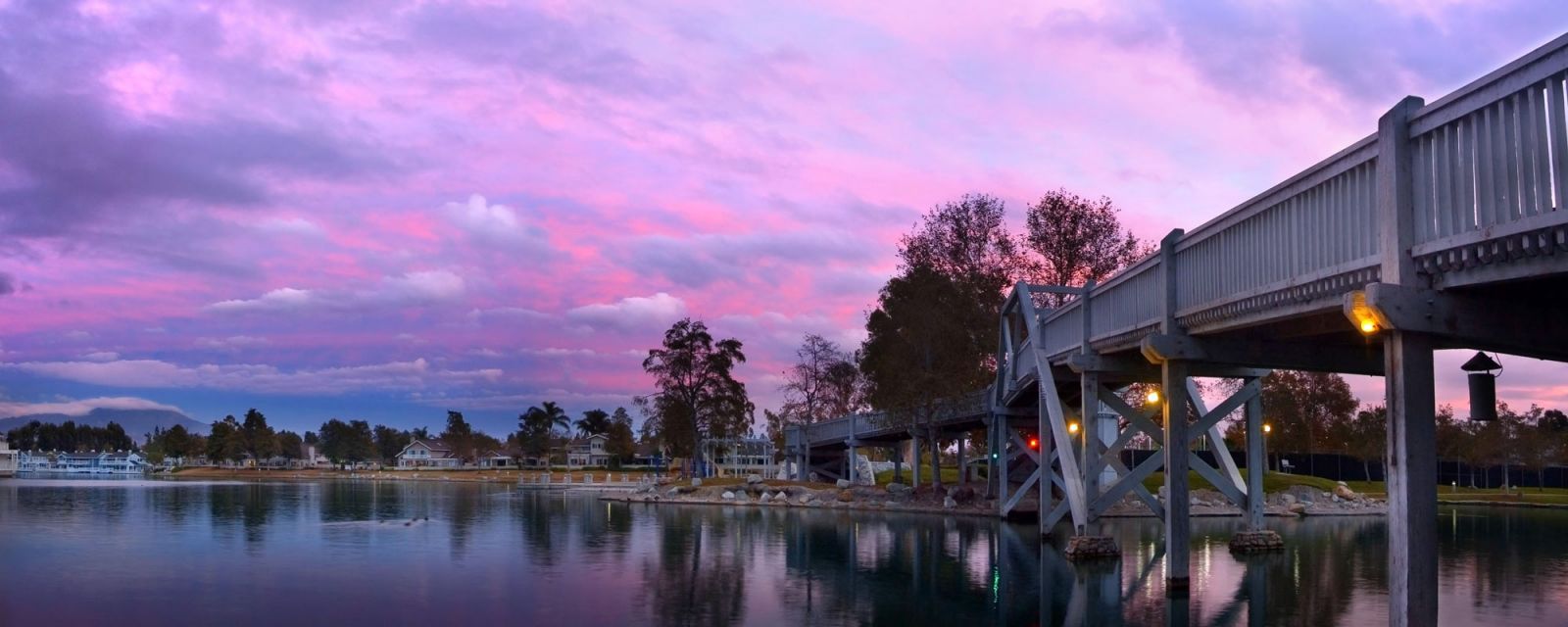 The Best 360 Cameras for Capturing the World Around You