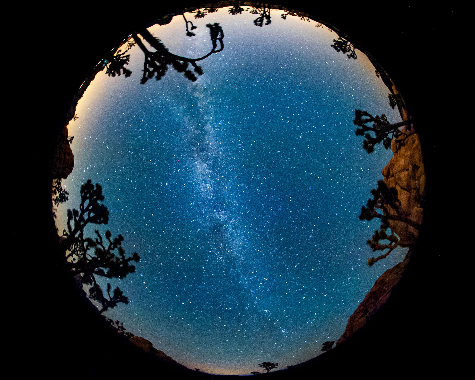 The Best 360 Cameras for Capturing the World Around You