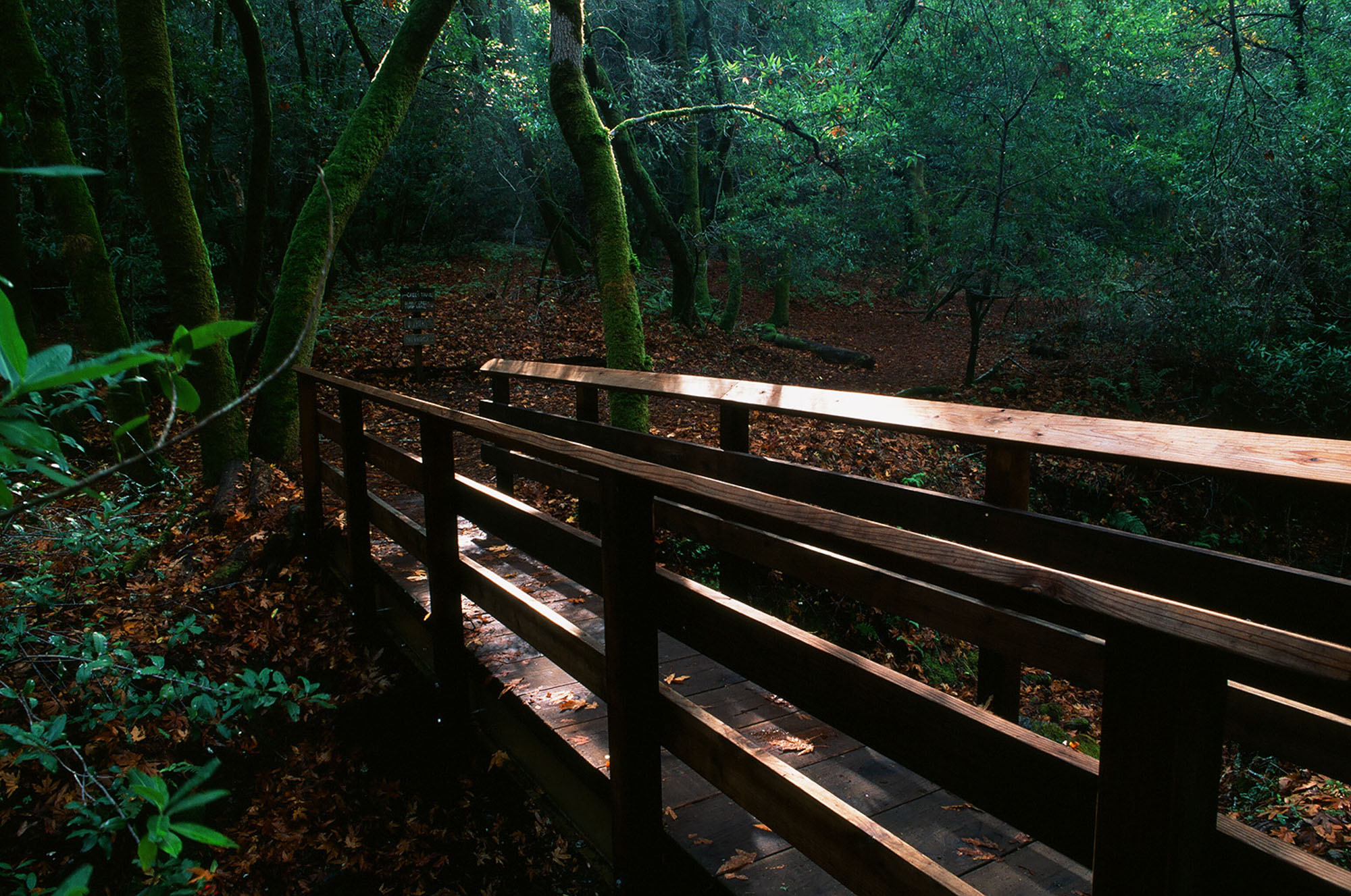 Best Film & Slide Scanner for Digitizing Your Film Collection