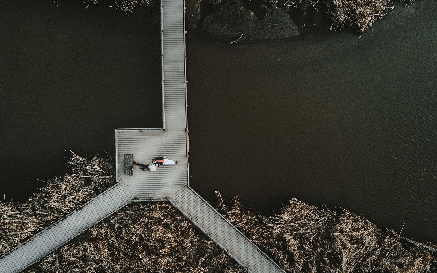 Birds Eye View Definition - What is Birds Eye View by SLR Lounge