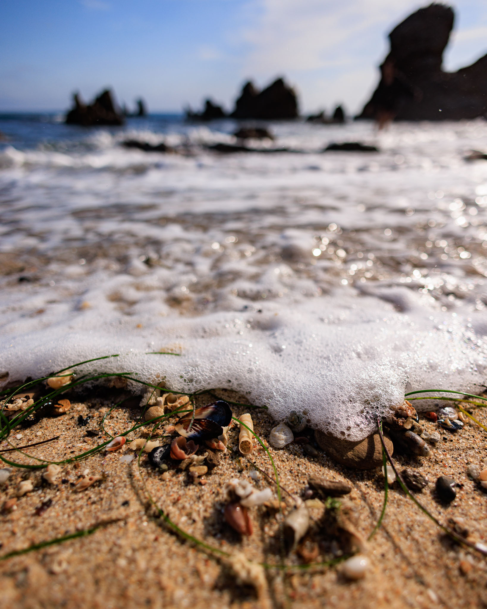 Canon RF 16mm f/2.8 STM Review | This Lens Is A Nifty Fifty Sized Ultra-Wide!