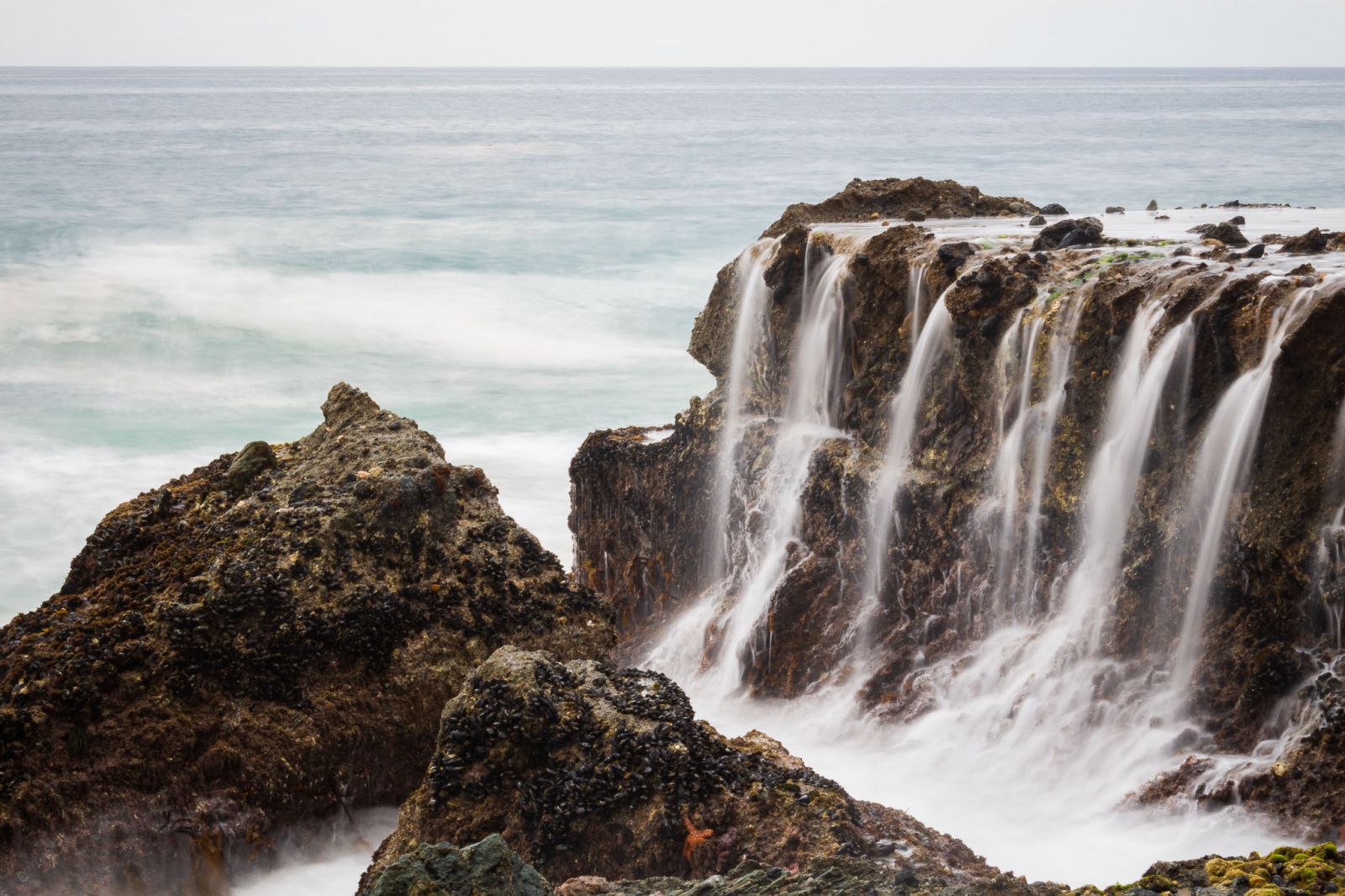 What Is A Dead Pixel? | Test And Fix