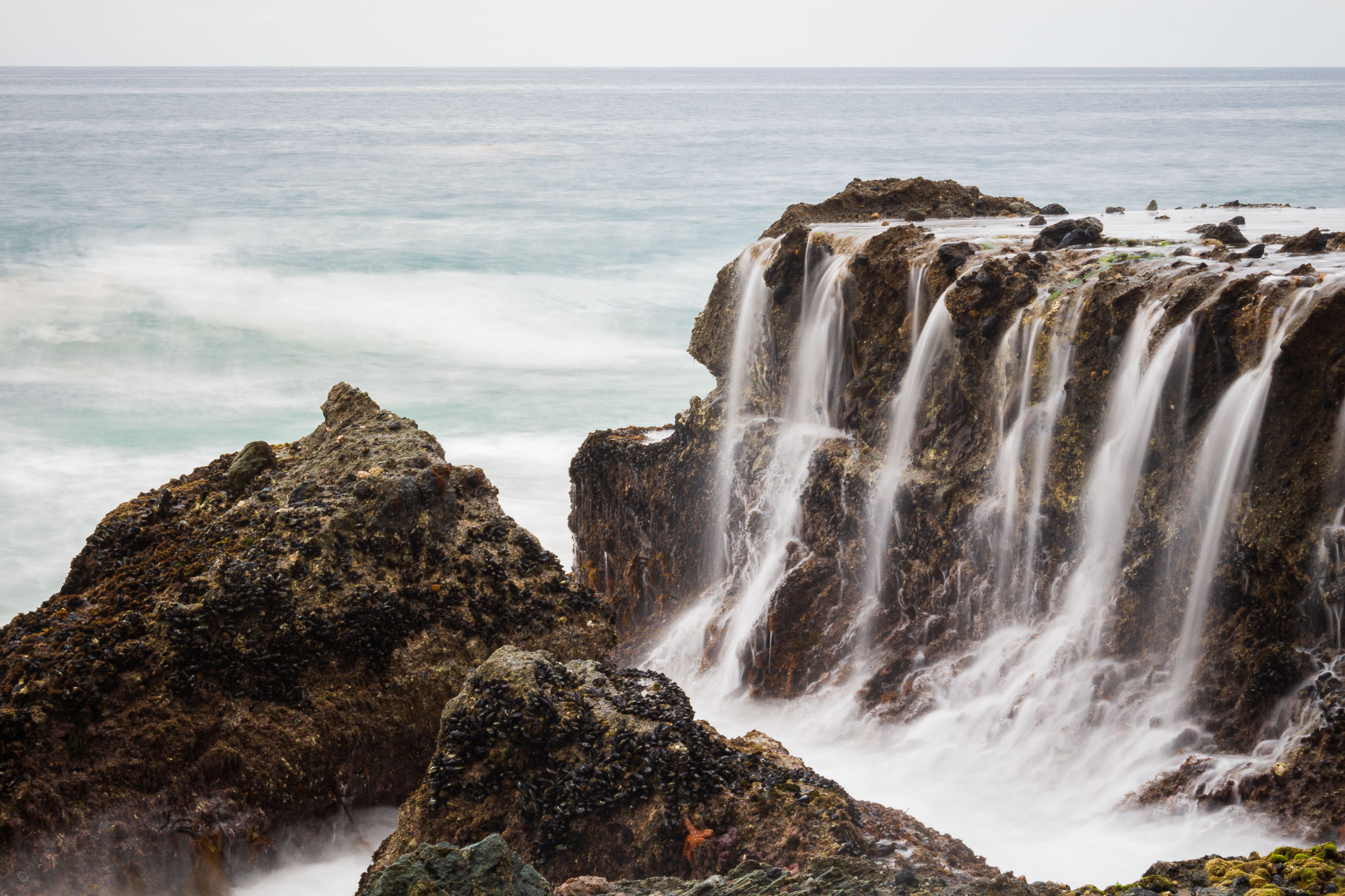 What Is A Dead Pixel? | Test And Fix