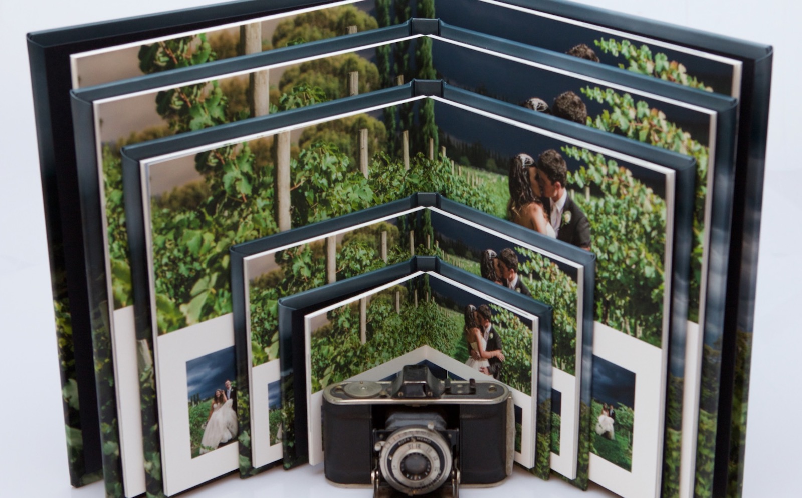 Vision Art Fine Art Book Review for Professional Photographers