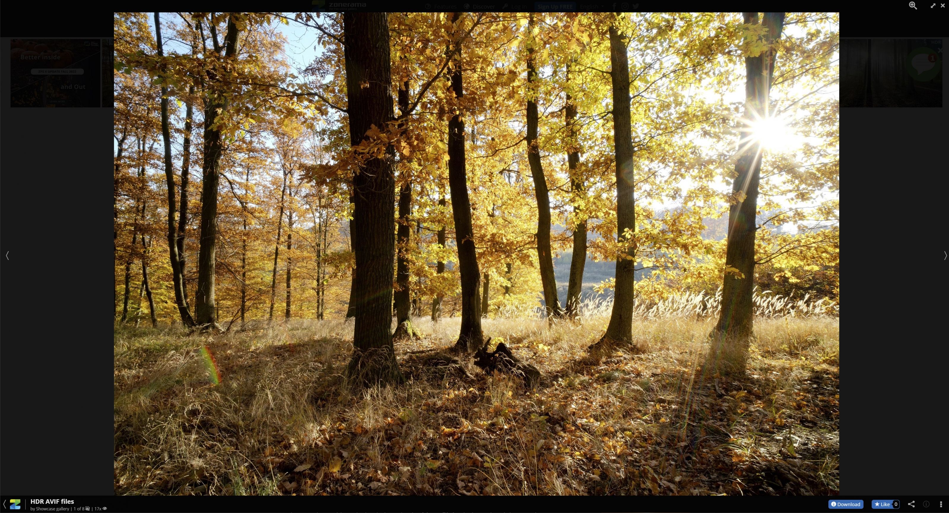 Web Gallery Zonerama Premieres HDR, AVIF & HEIC and RAW Support