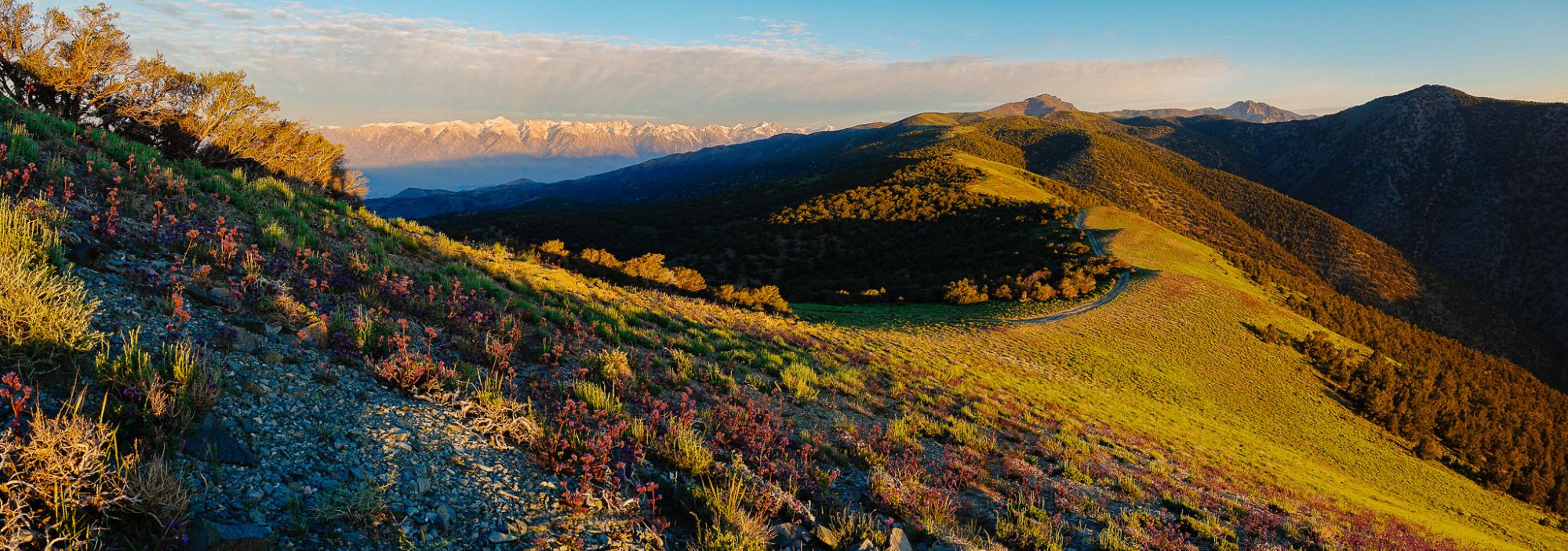 Luminar Neo Panorama Stitching Extension Review