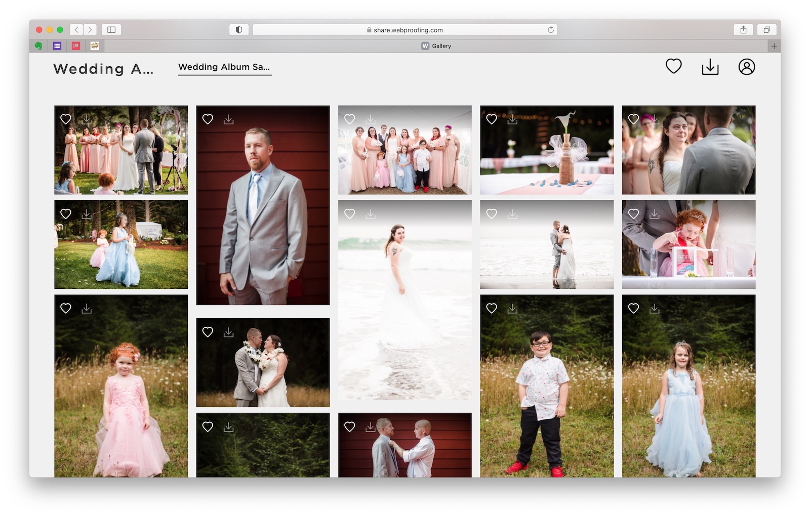 Zno Review for Online Photo Galleries and an Online Store for Photographers