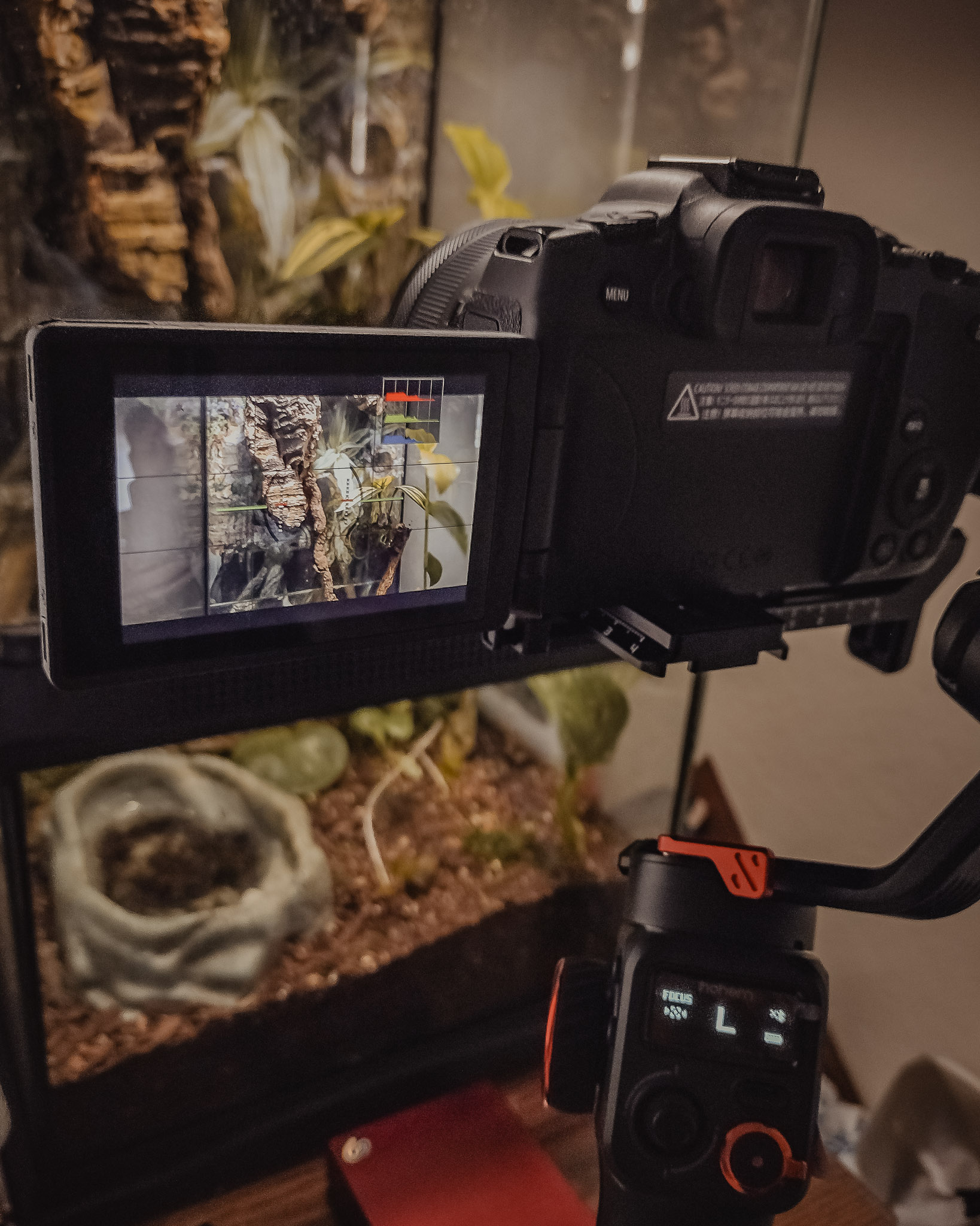 Hohem iSteady MT2 Gimbal Review