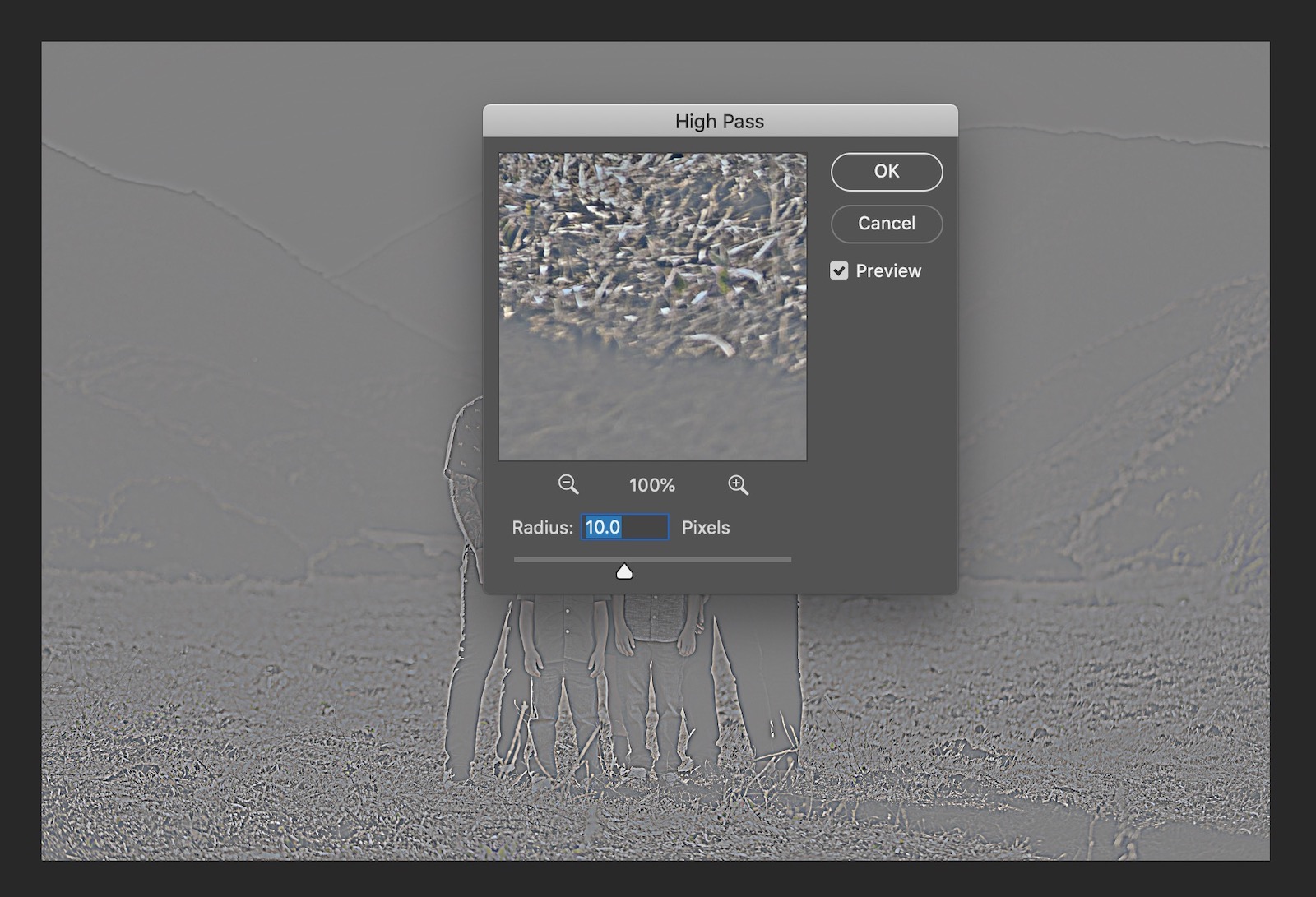 Tips for Going Big with Large Photo Prints