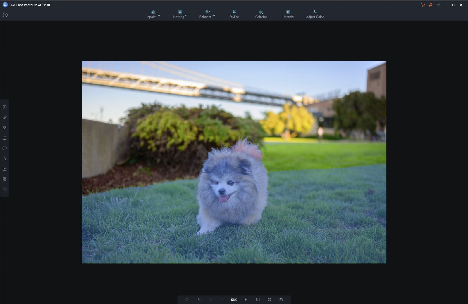 AVCLabs PhotoPro AI Review | Using AI to Perform Advanced Edits