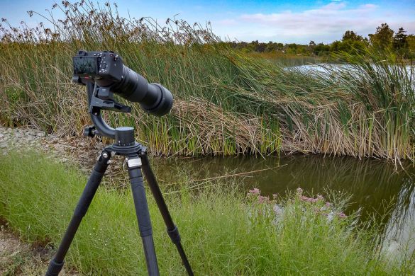 Best Heavy Duty Tripod For Photography With Large Cameras & Lenses