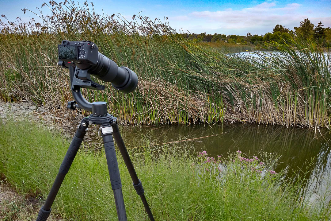 Best Heavy Duty Tripod For Photography With Large Cameras & Lenses