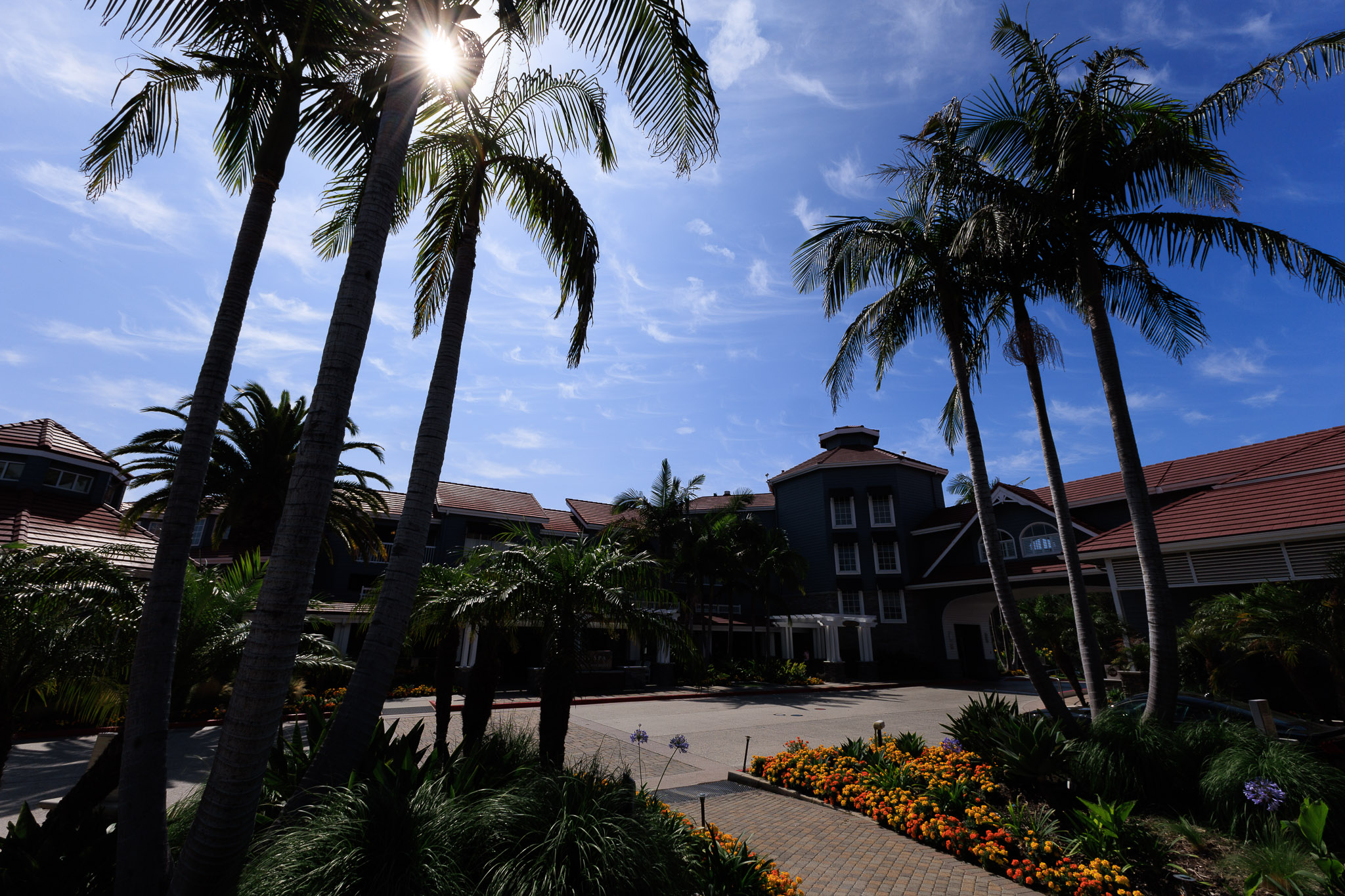 Canon EOS R8 Review | Entry-Level Full-Frame Mirrorless Done Right?