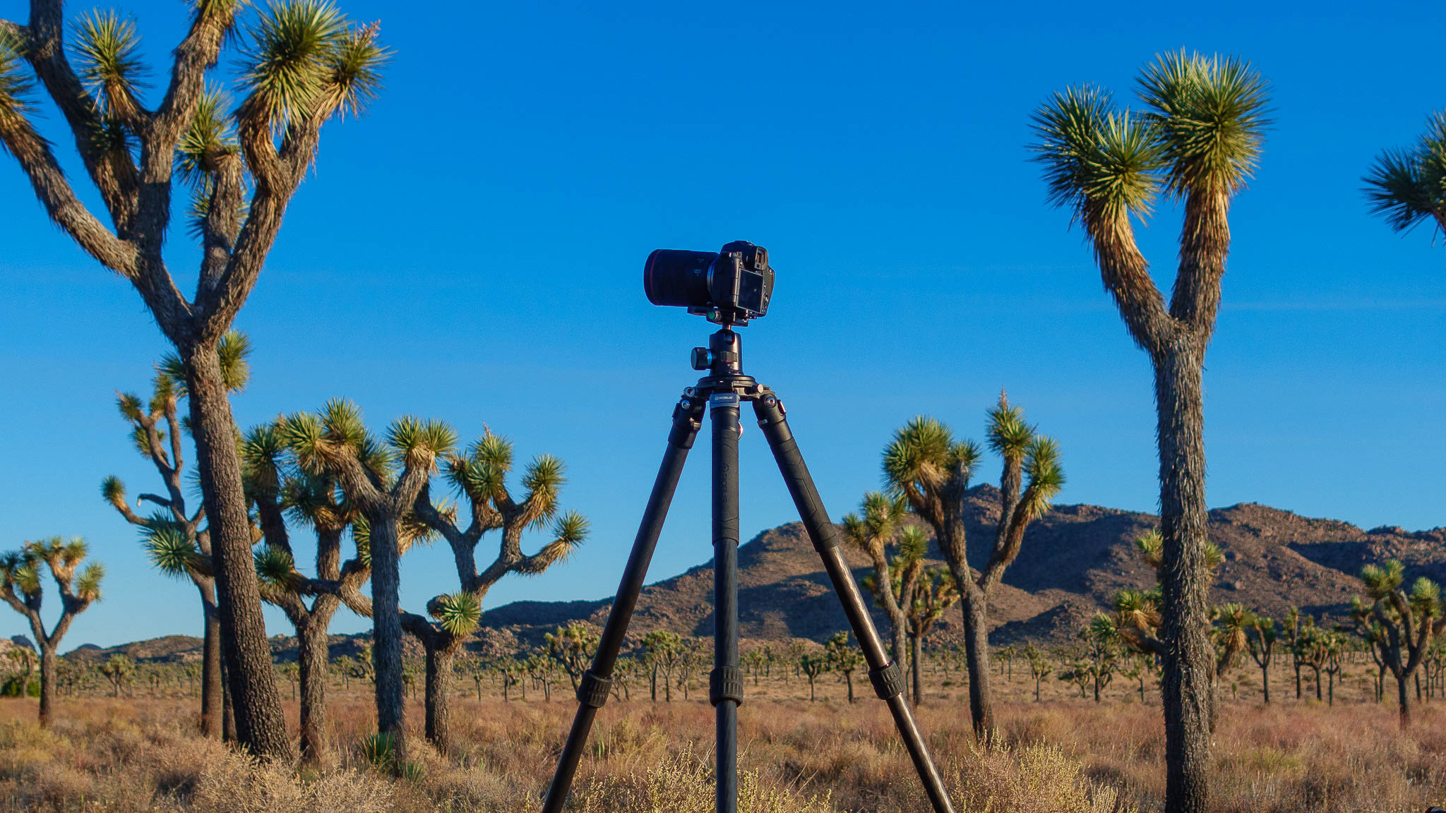Best Heavy Duty Tripod For Photography With Large Cameras & Lenses