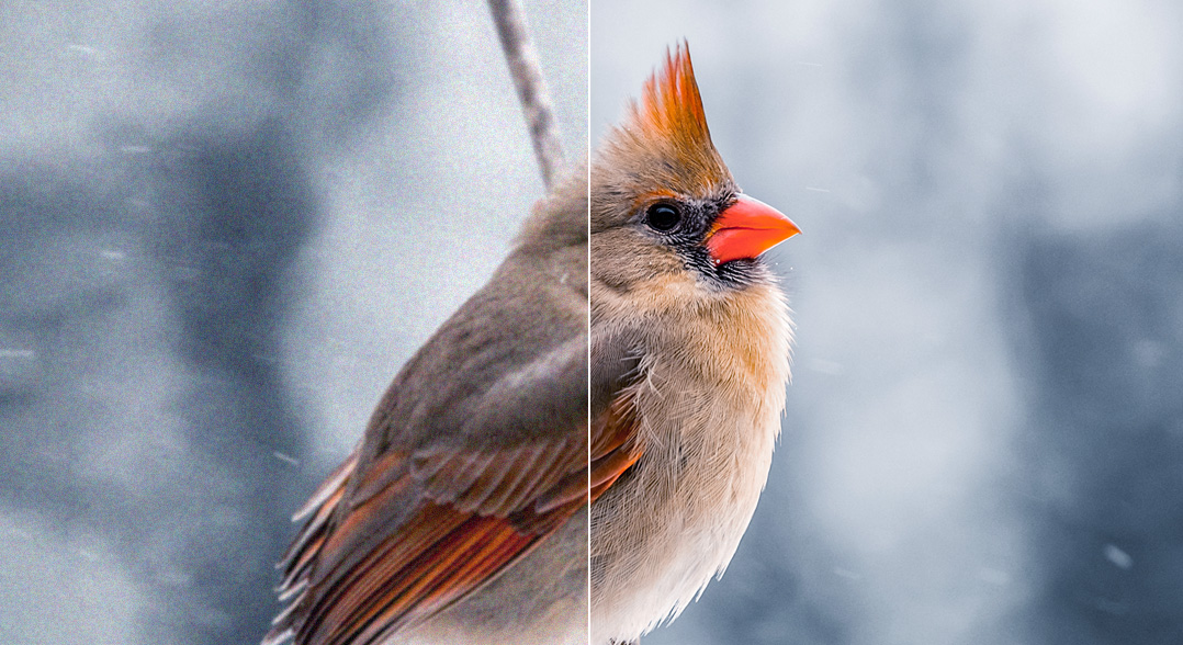 How to Make Pictures Clearer with AI Image Enhancer