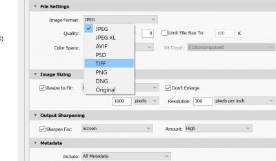 JPEG vs TIFF: Understanding the Core Differences and Applications