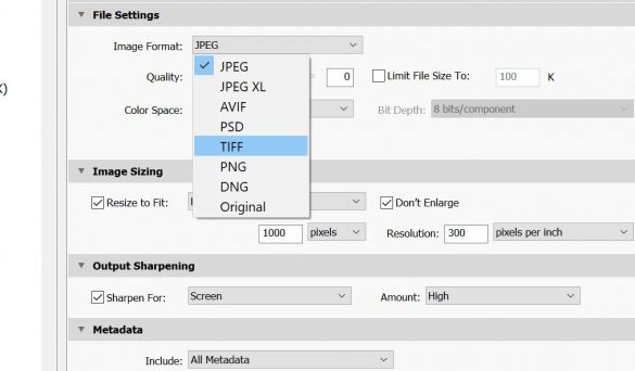 JPEG vs TIFF: Understanding the Core Differences and Applications