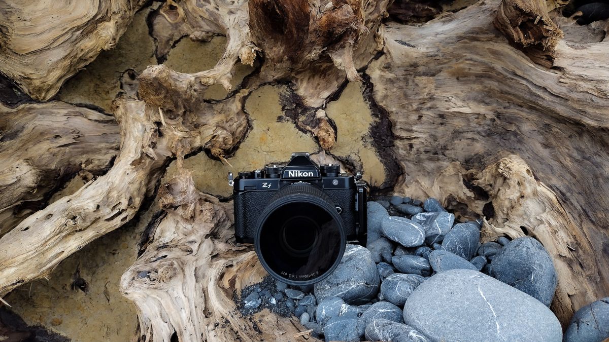 Nikon Zf Review | An Elegant, Retro Full-Frame Mirrorless Camera