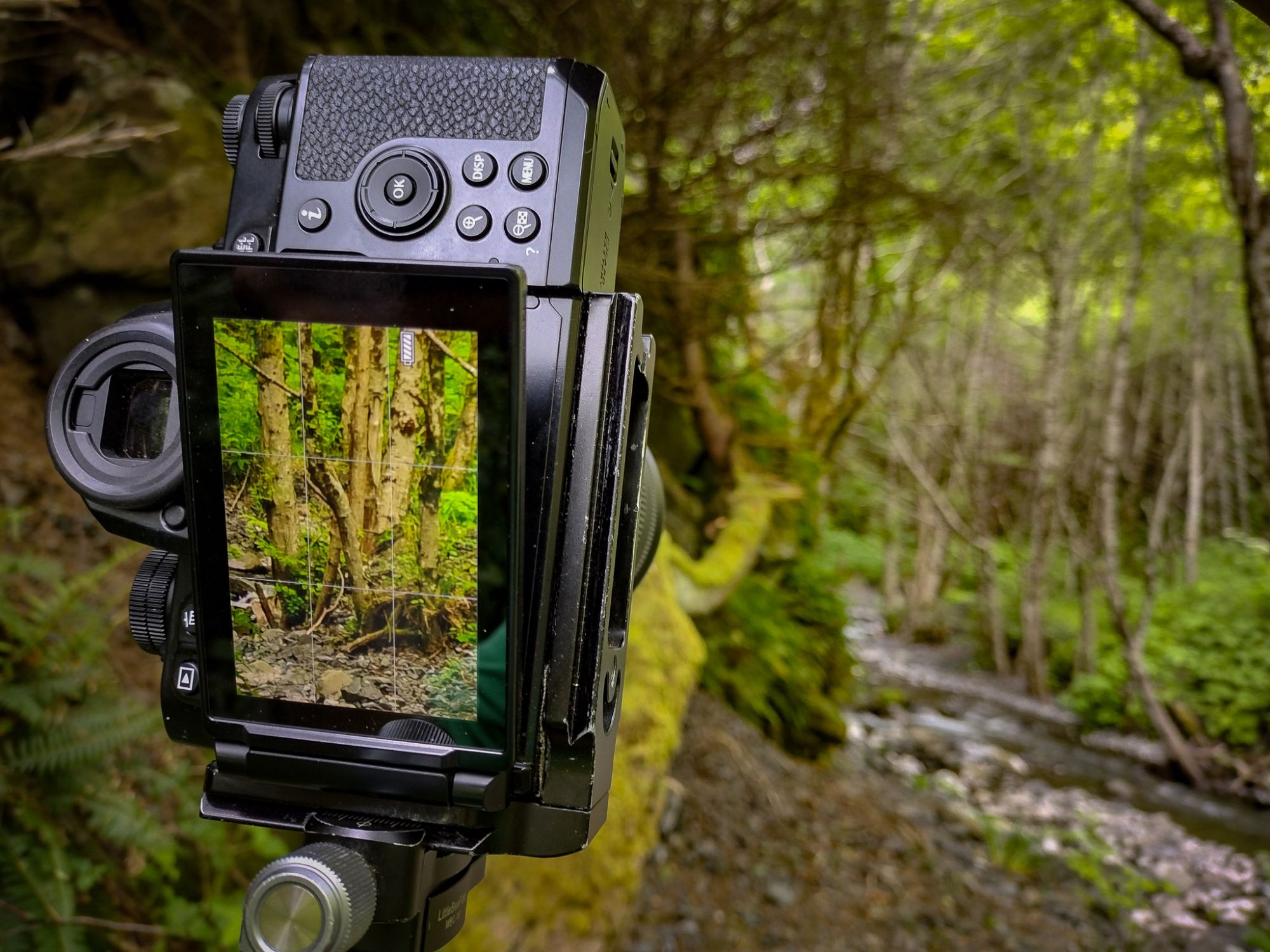 Nikon Zf Review | An Elegant, Retro Full-Frame Mirrorless Camera