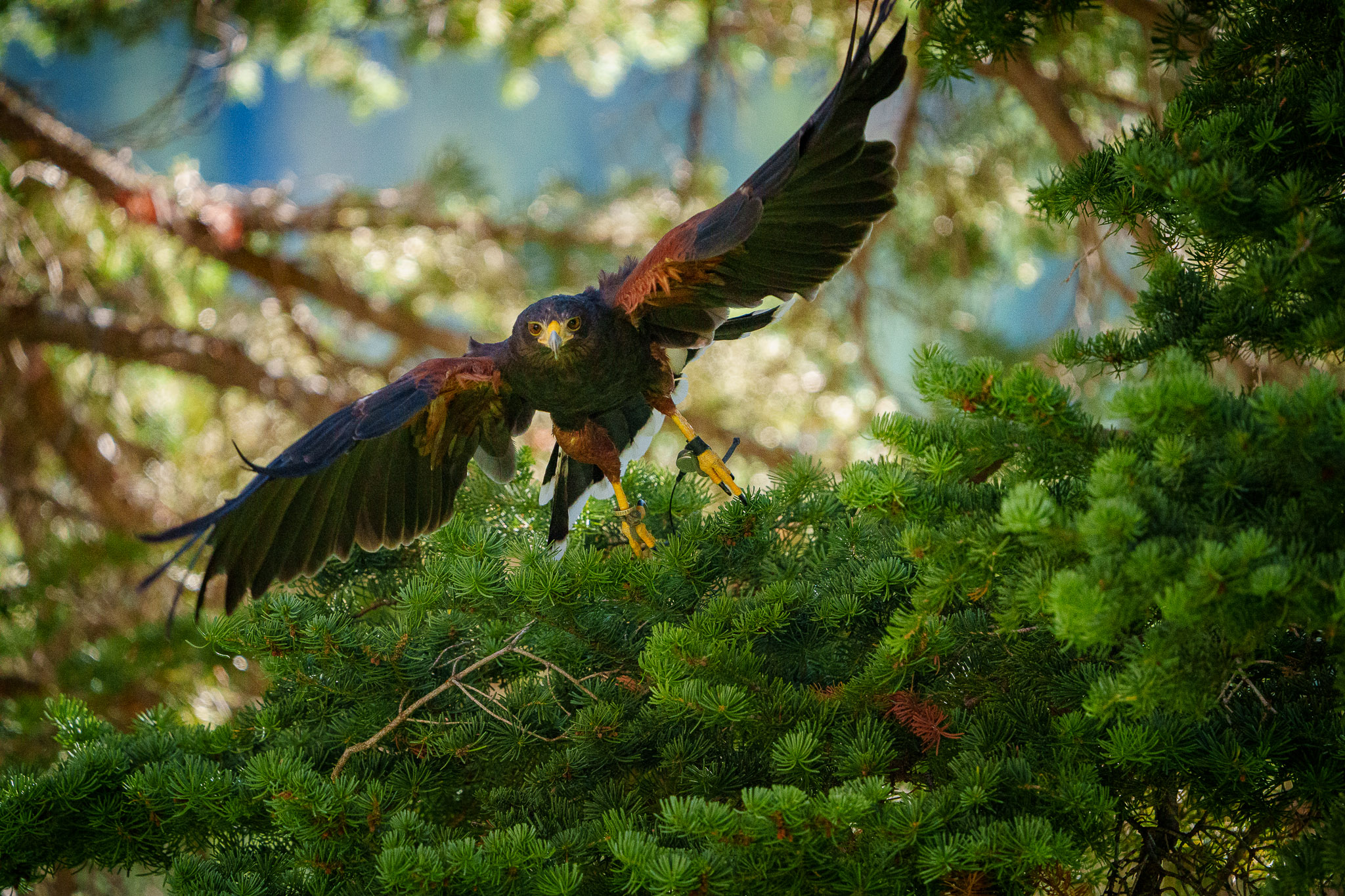 Sony A7CR Review | Ultimate Adventure Landscape Photography Camera