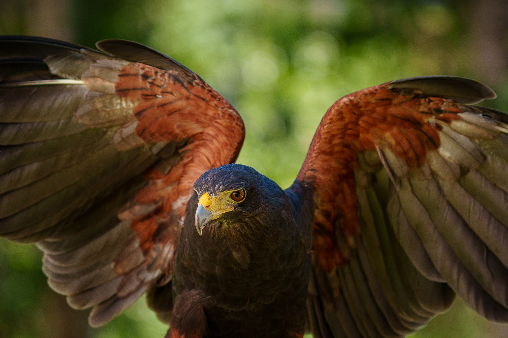 Sony A7CR Review | Ultimate Adventure Landscape Photography Camera