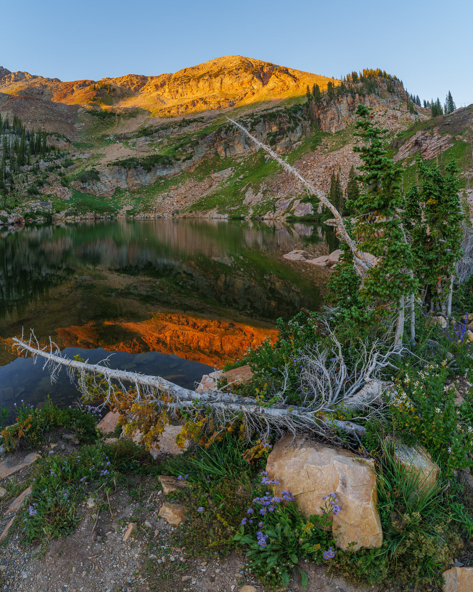 Sony A7CR Review | Ultimate Adventure Landscape Photography Camera