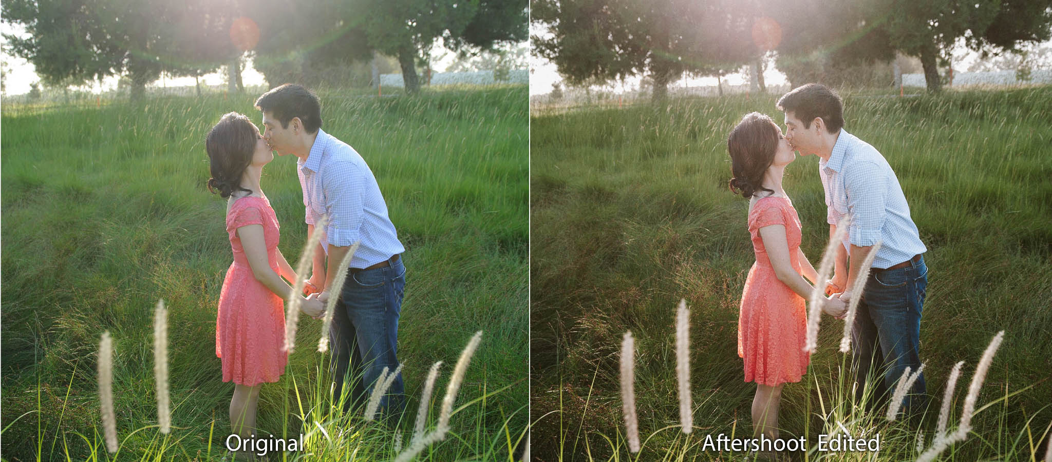 Make Exposure and White Balance Adjustments Simpler with Aftershoot