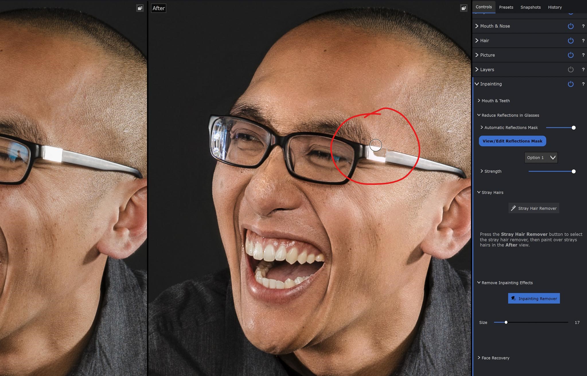 Portrait Pro 24 | | Generative AI makes wedding & portrait retouching ...