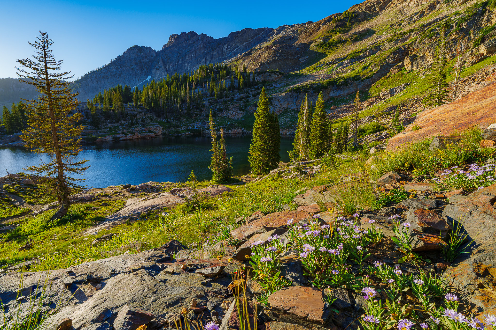 Sony A7CR Review | Ultimate Adventure Landscape Photography Camera