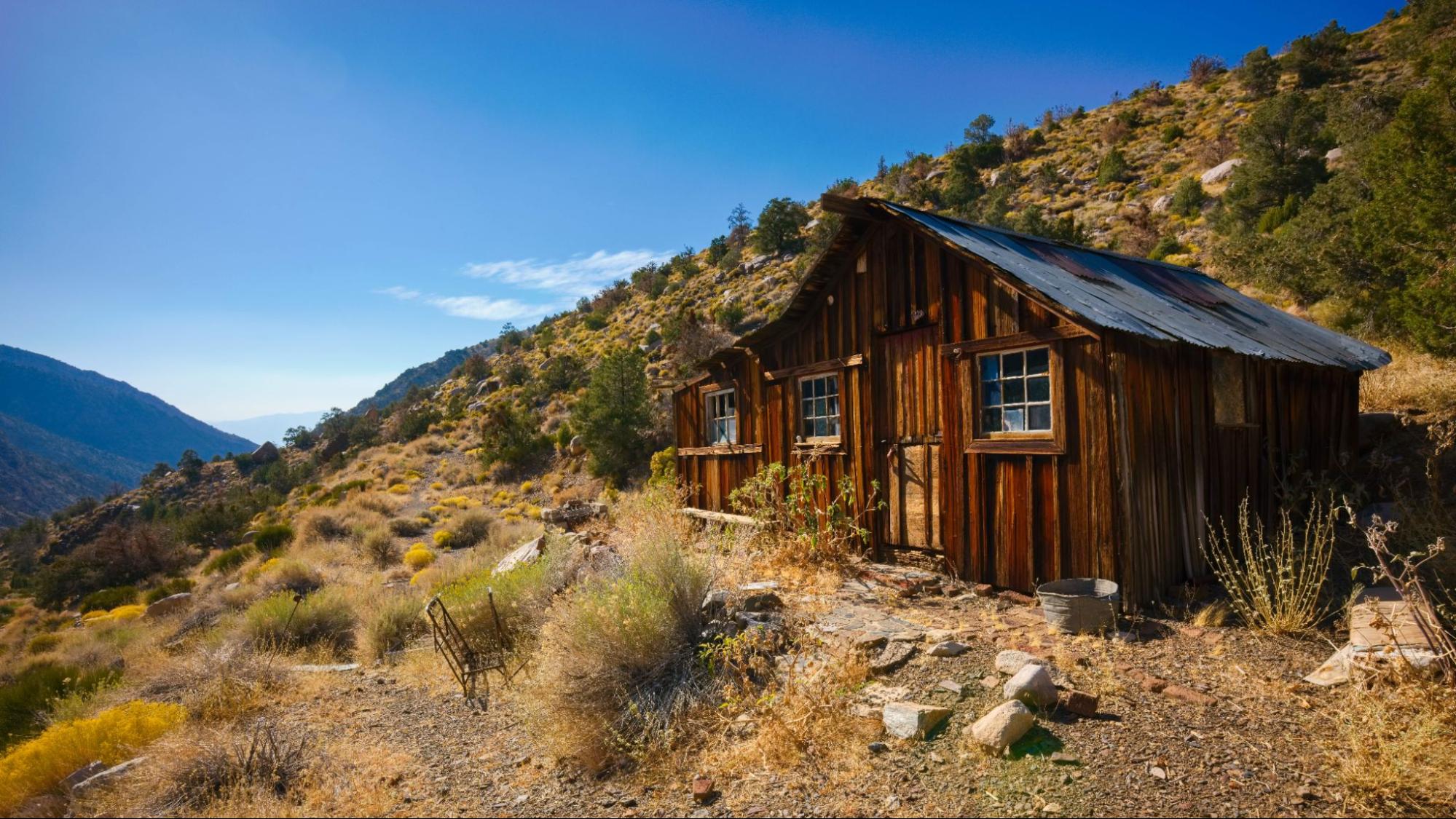 Zoner Photo Studio X | Using AI To Assist Your Photo Editing Workflow