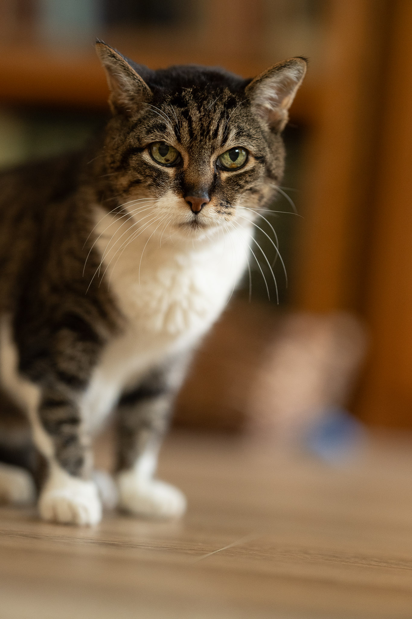 Nikon Z6 III Review | Flagship Performance On A Prosumer Budget?