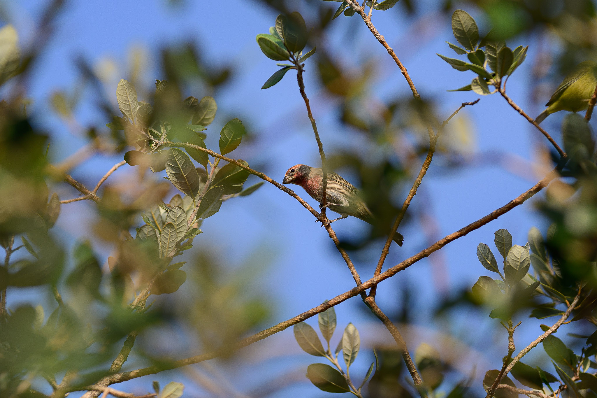 Nikon Z6 III Review | Flagship Performance On A Prosumer Budget?