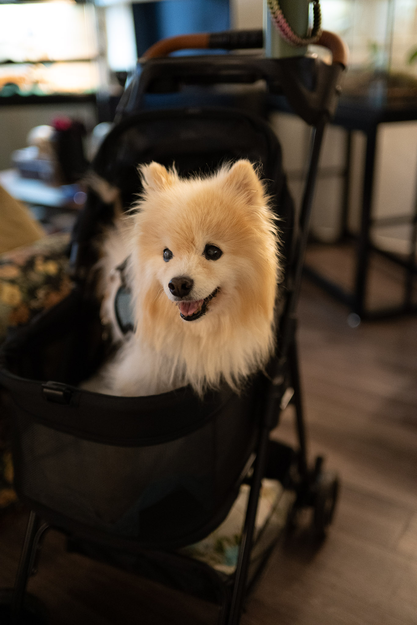 Nikon Z6 III Review | Flagship Performance On A Prosumer Budget?