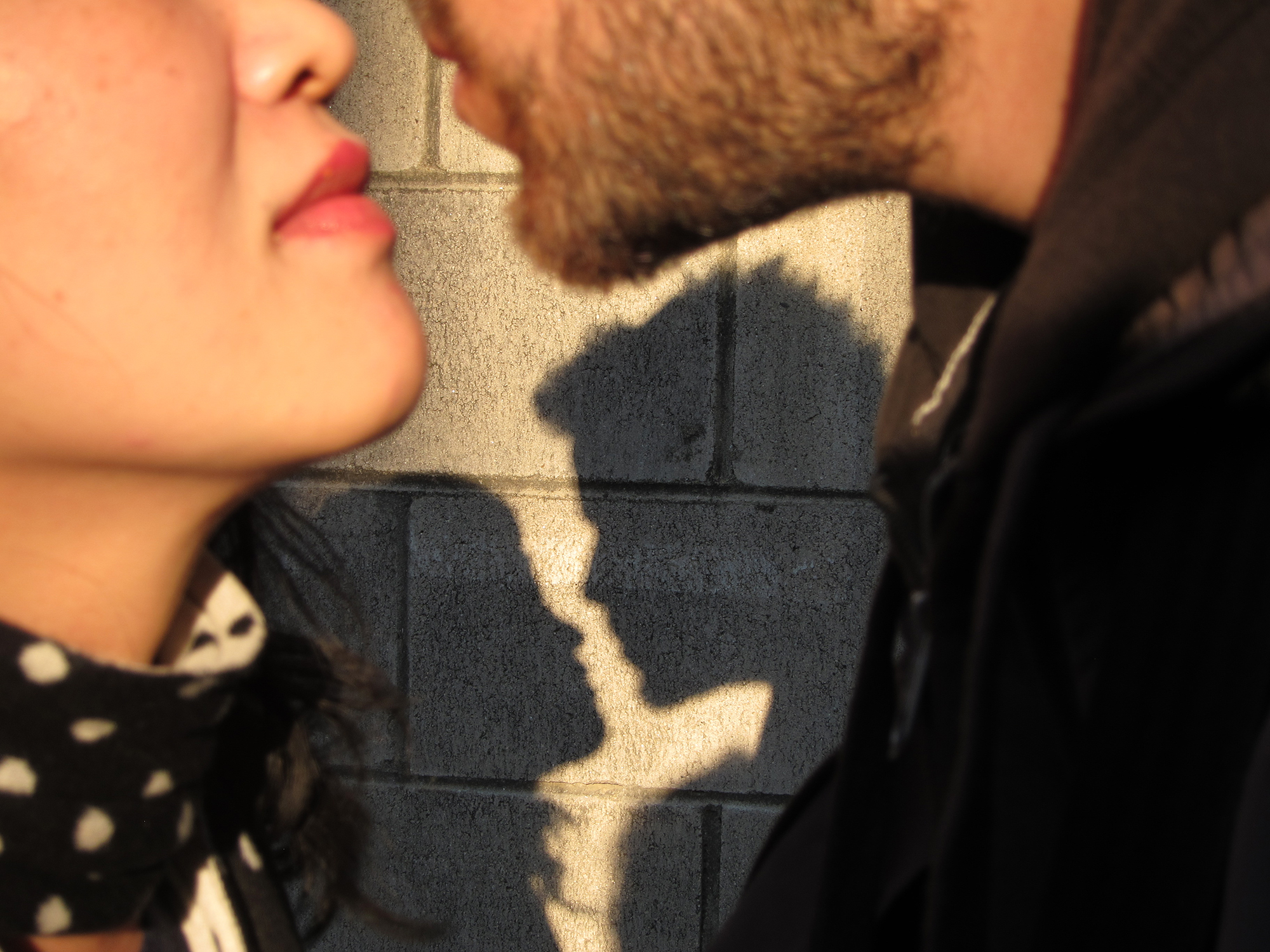 Shadow Photography: Tips and Ideas for Using Shadows in Your Photos