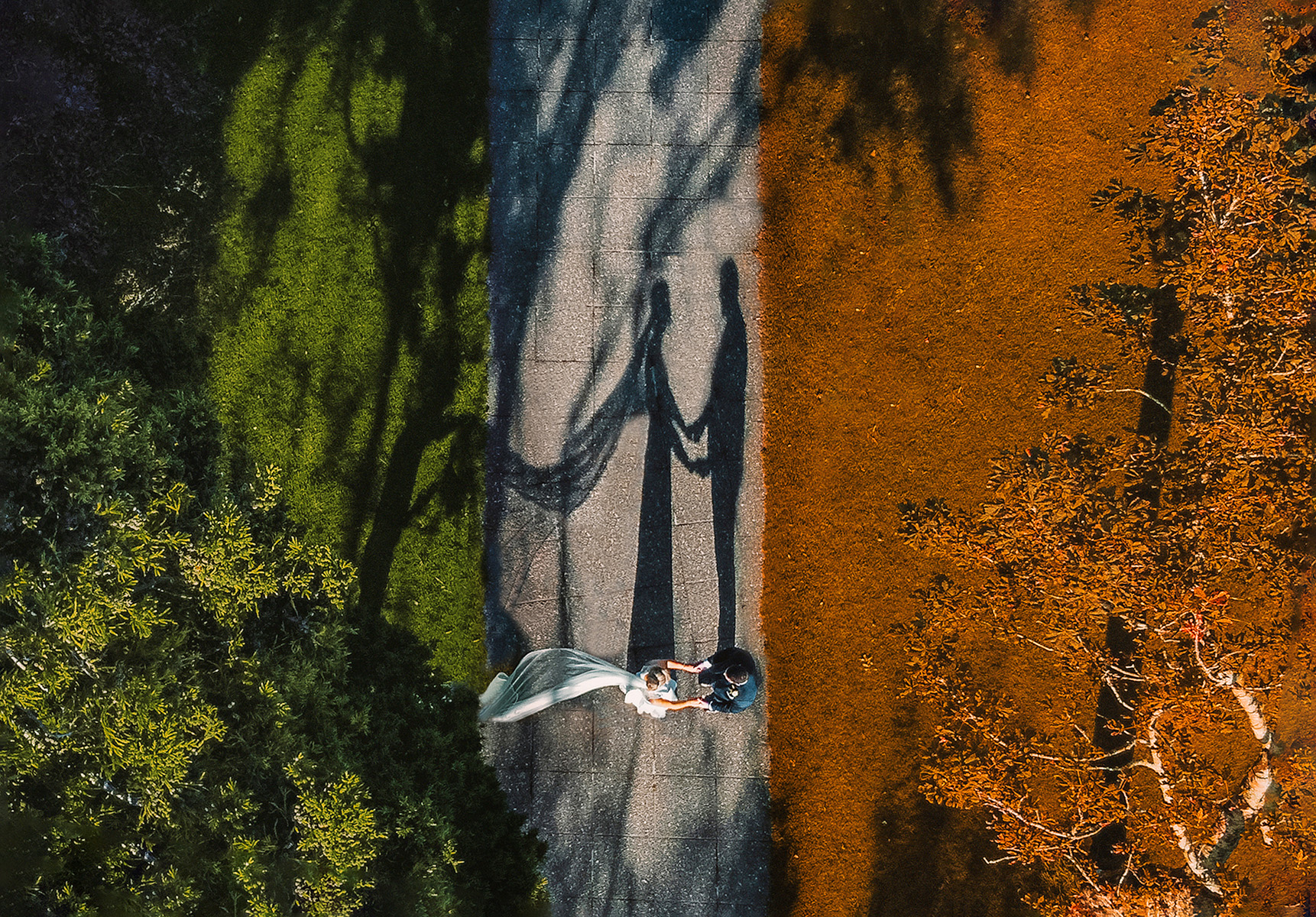 Shadow Photography: Tips and Ideas for Using Shadows in Your Photos