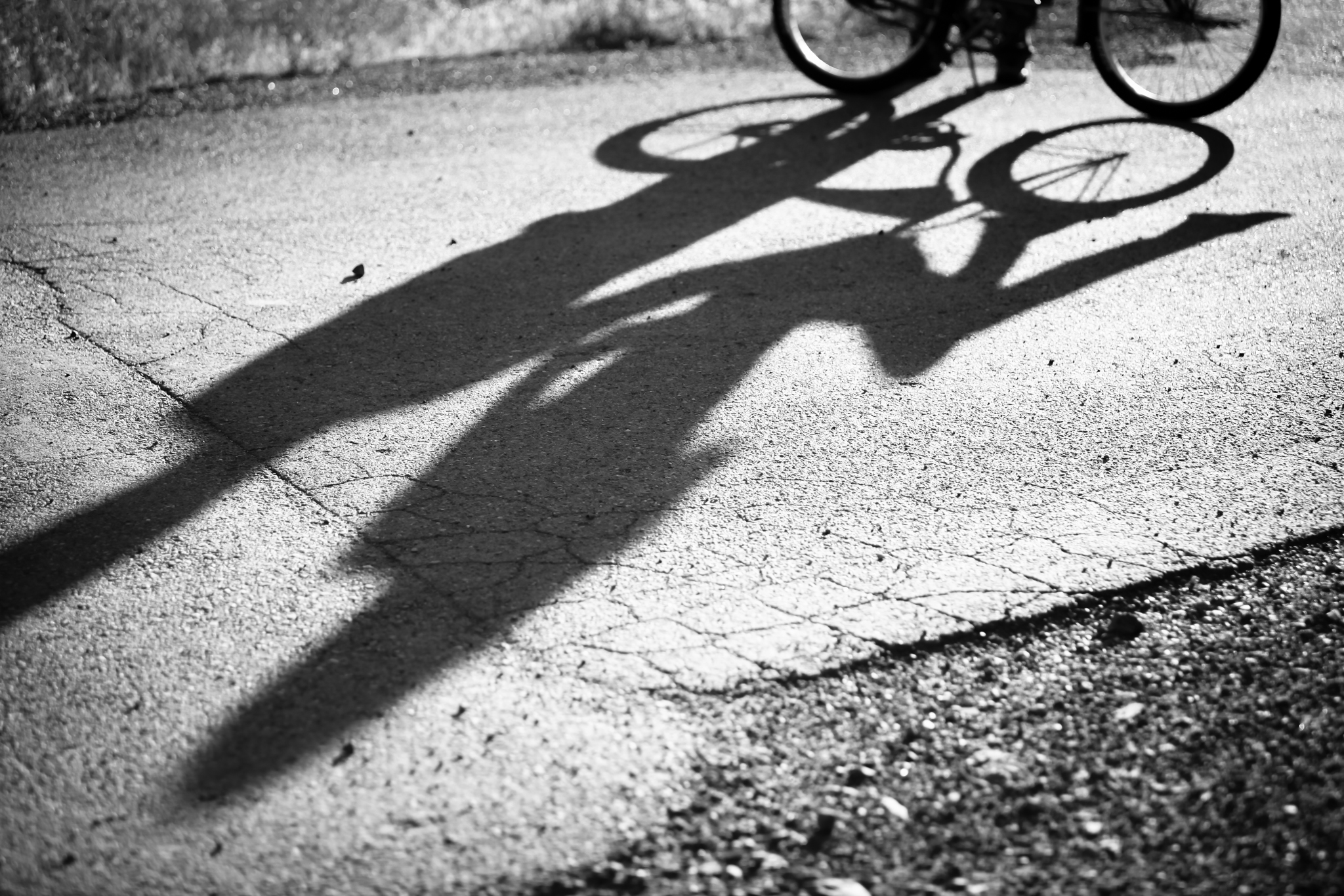 Shadow Photography: Tips and Ideas for Using Shadows in Your Photos