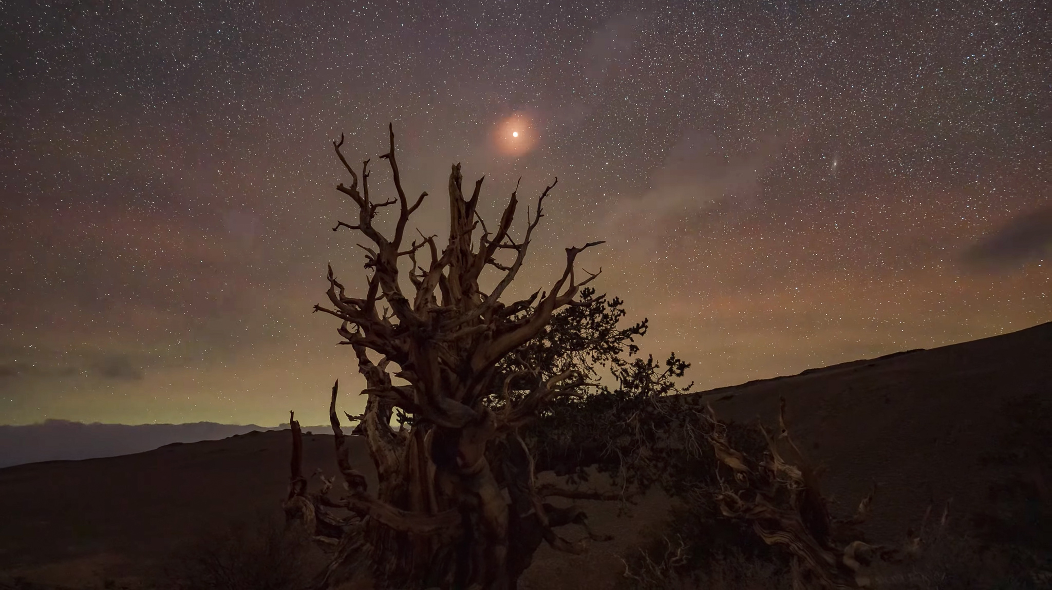 How To Photograph A Lunar Eclipse - Technical Steps & Creative Ideas