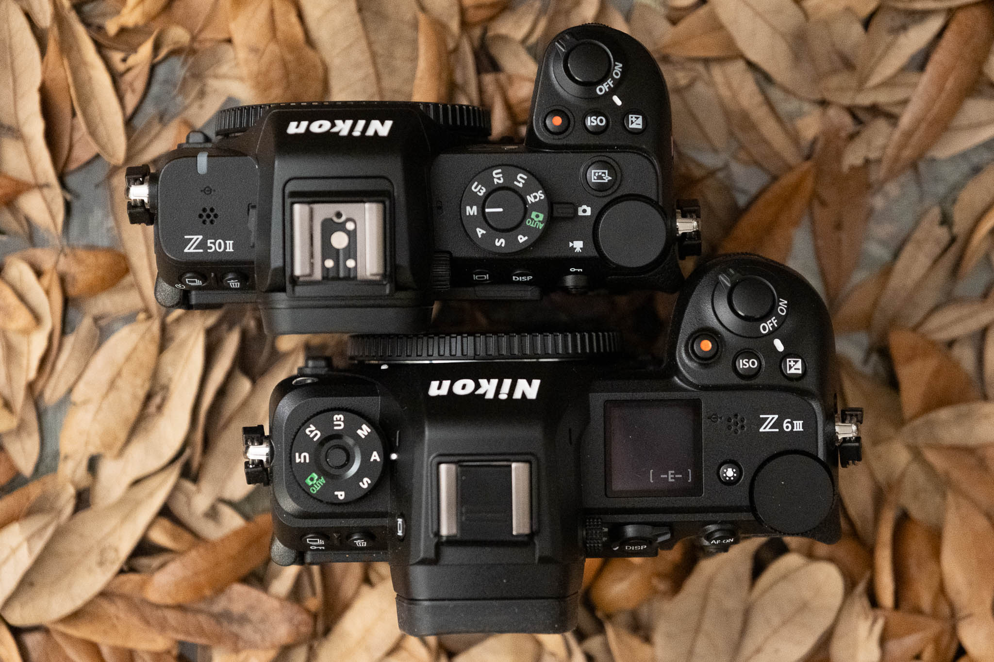 Nikon Z50 II Review | The Most Professional Beginner Camera?